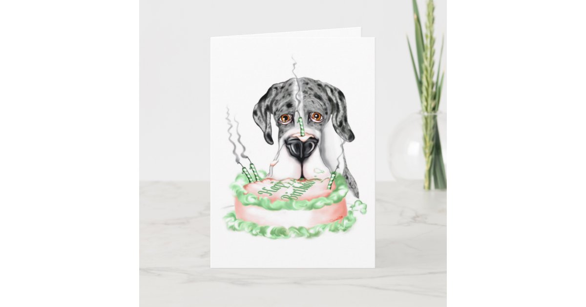 Great Dane Merle UC Birthday Cake Card | Zazzle