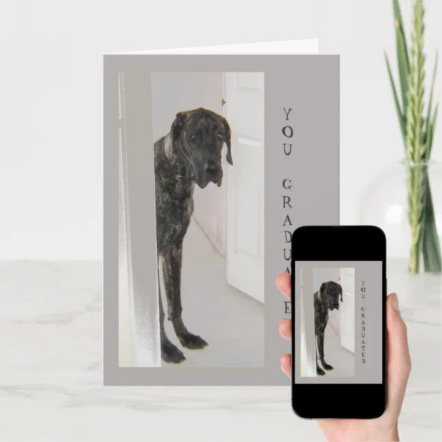 Great Dane Pet Dog Humor Congratulations Grad Card | Zazzle
