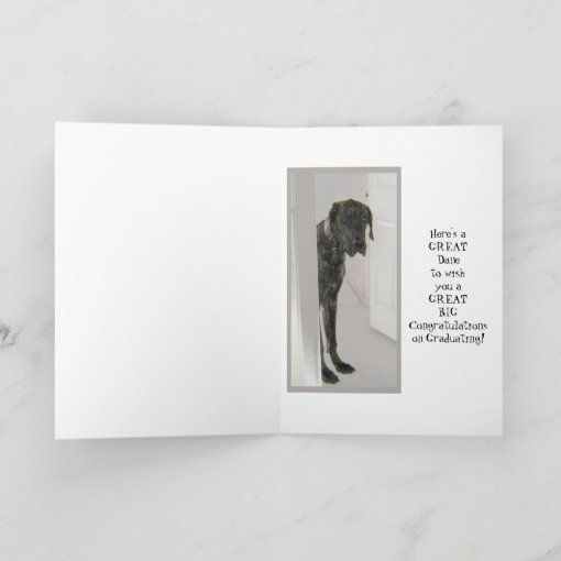 Great Dane Pet Dog Humor Congratulations Grad Card | Zazzle