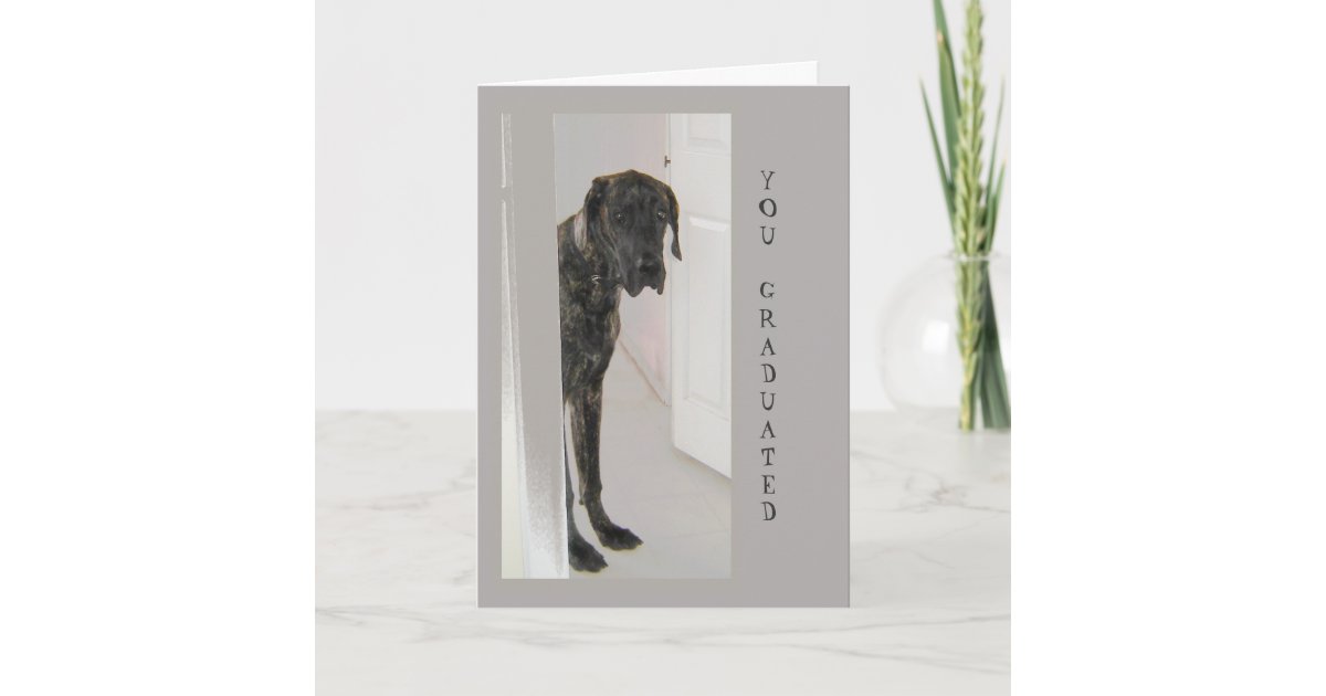 Great Dane Pet Dog Humor Congratulations Grad Card | Zazzle
