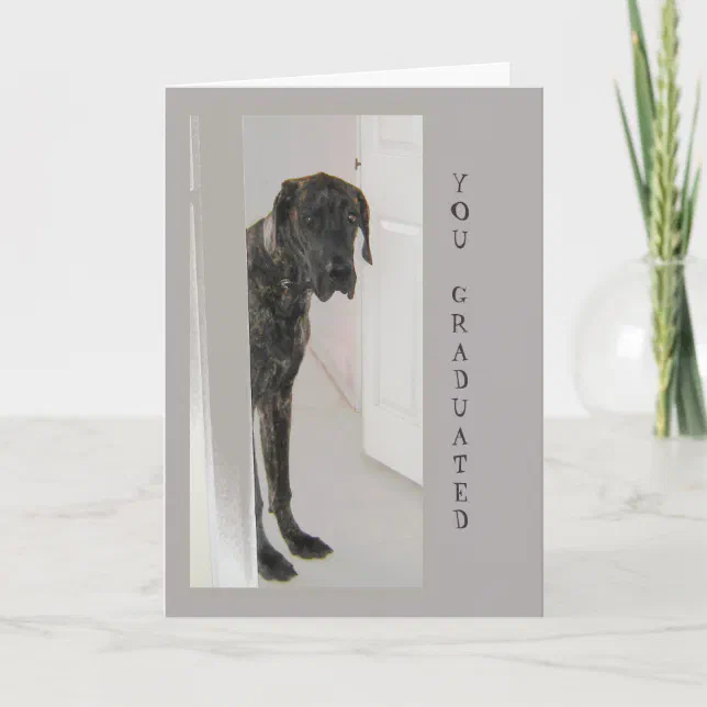 Great Dane Pet Dog Humor Congratulations Grad Card | Zazzle