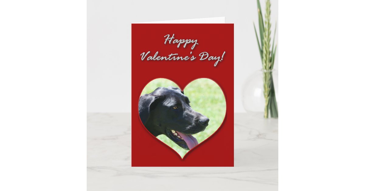 Great Dane Valentines Day Card | Zazzle