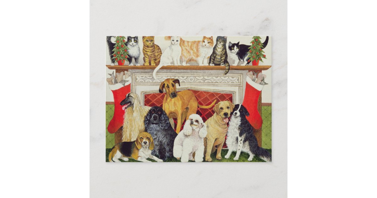 Great Expectations Postcard | Zazzle