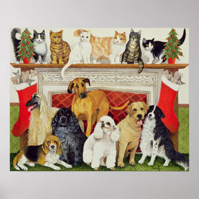 Great Expectations Poster | Zazzle