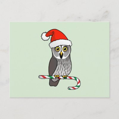 Adorable Great Grey Owl as Santa Claus for Christmas
