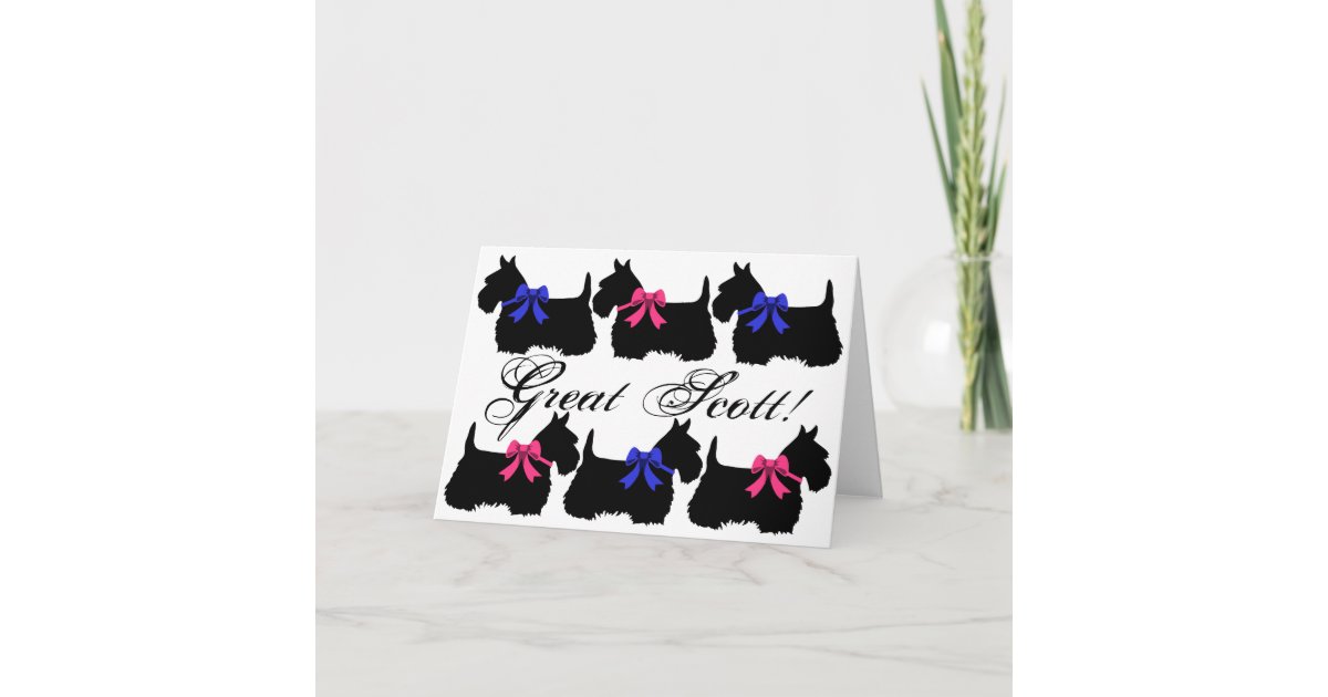 "Great Scott!", Scottish Terrier blank card | Zazzle
