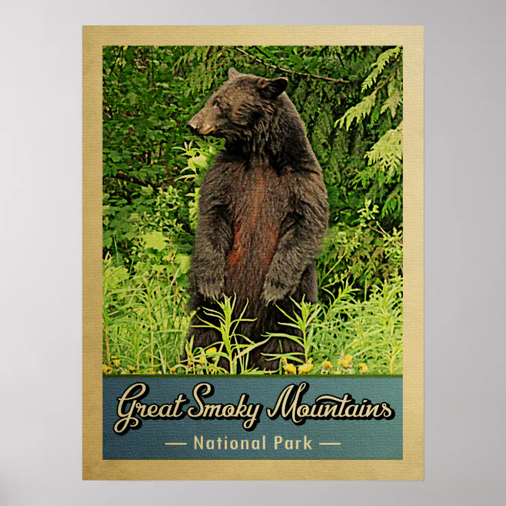 Great Smoky Mountains National Park Bear Poster | Zazzle
