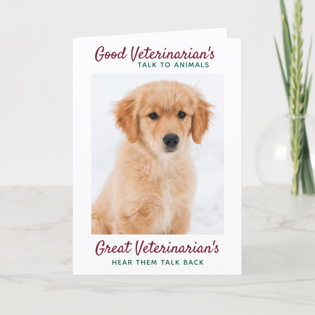 Great Veterinarian Personalize Christmas Pet Photo Holiday Card | Zazzle