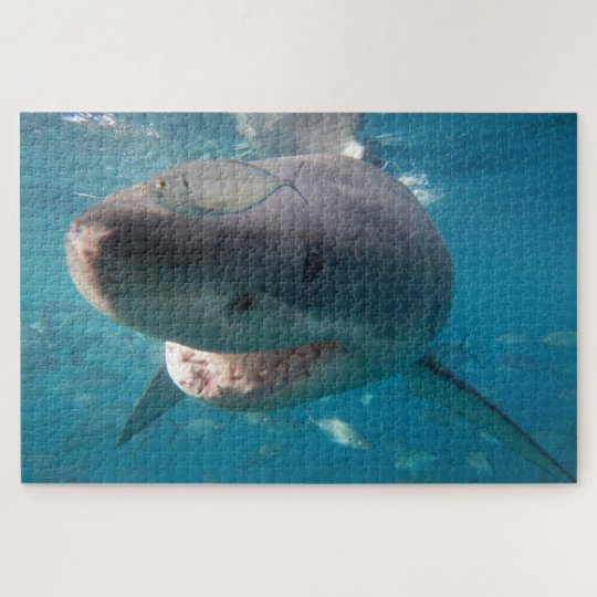 Great White Shark, 1014 pieces Jigsaw Puzzle | Zazzle.com