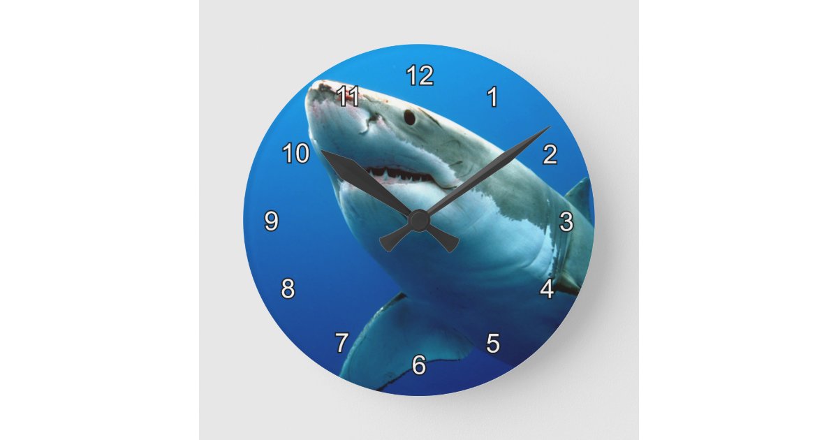 GREAT WHITE SHARK 3 ROUND CLOCK | Zazzle