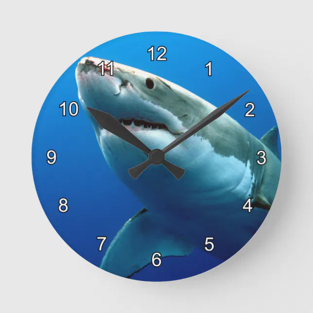 GREAT WHITE SHARK 3 ROUND CLOCK | Zazzle