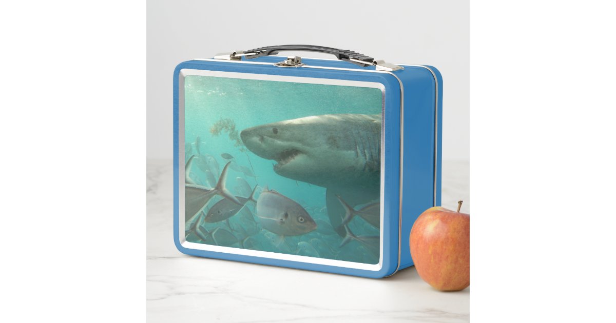 Great White Shark and Fish Underwater Photo Metal Lunch Box | Zazzle