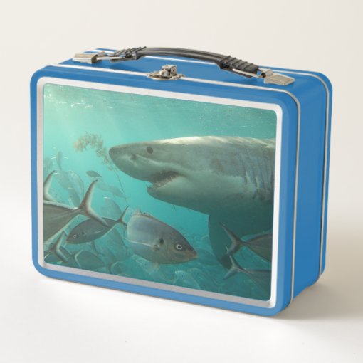 Great White Shark and Fish Underwater Photo Metal Lunch Box | Zazzle