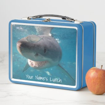 Great White Shark Close Up Ocean Australia Metal Lunch Box | Zazzle