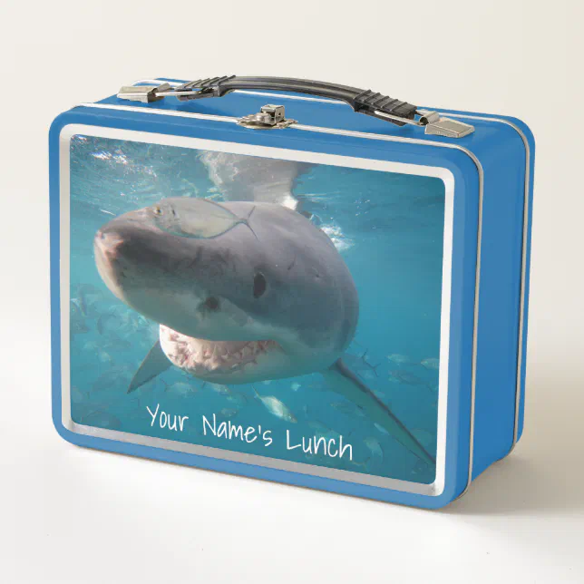 Great White Shark Close Up Ocean Australia Metal Lunch Box | Zazzle