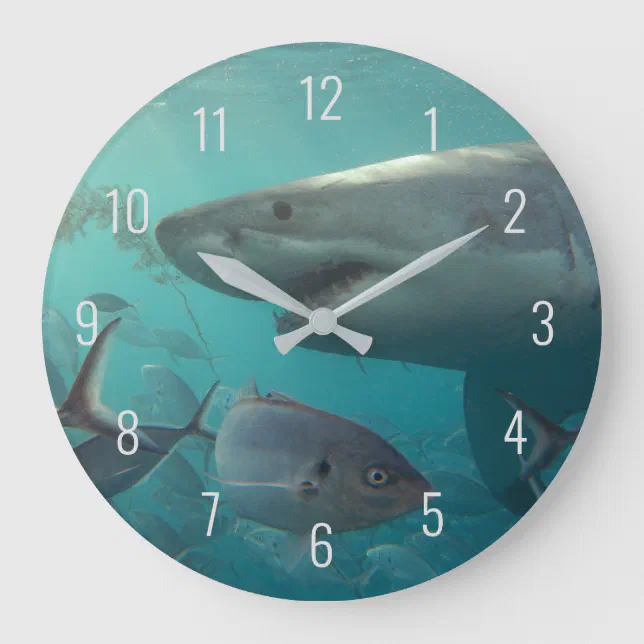 Great White Shark Close Up Underwater Australia Large Clock | Zazzle