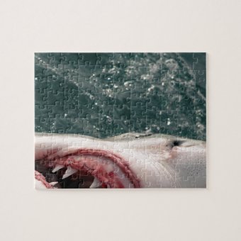 Great white shark jigsaw puzzle | Zazzle