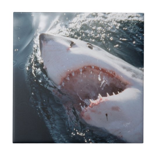 Great White Shark on sea Ceramic Tile | Zazzle.com
