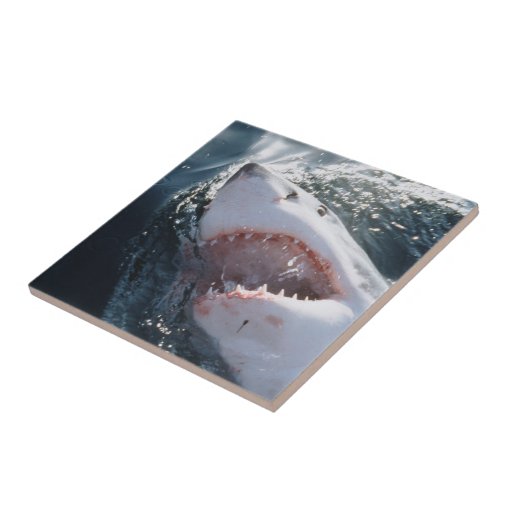 Great White Shark on sea Ceramic Tile | Zazzle