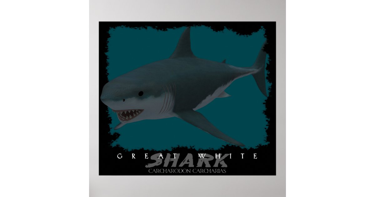 Great White Shark Poster | Zazzle