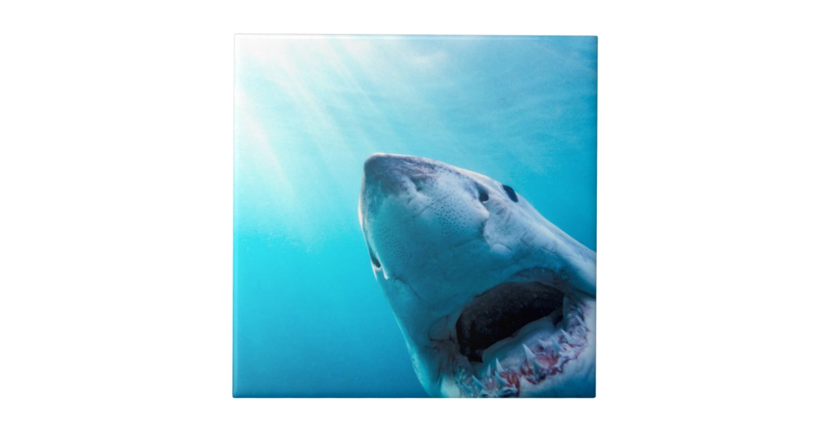 Great White Shark | South Africa Ceramic Tile | Zazzle