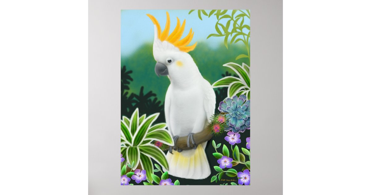 Greater Citron Cockatoo Parrot Print Zazzle