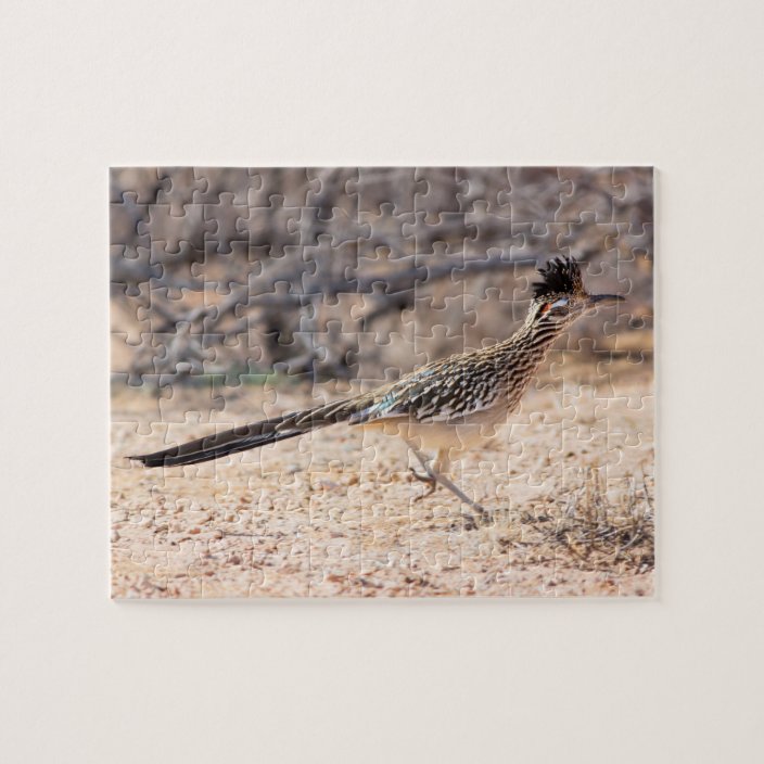 Greater Roadrunner Desert Jigsaw Puzzle | Zazzle.com