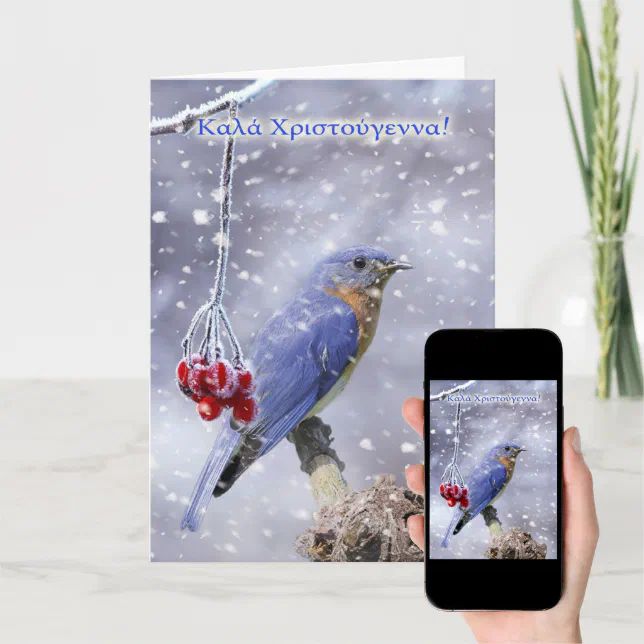 Greek - Blue Bird Christmas Greeting Card | Zazzle