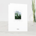 Greek sympathy card with white tulips | Zazzle
