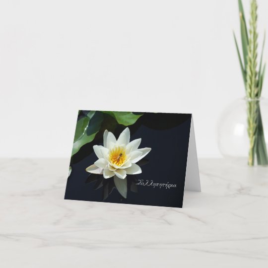 Greek sympathy card with white waterlily | Zazzle.com