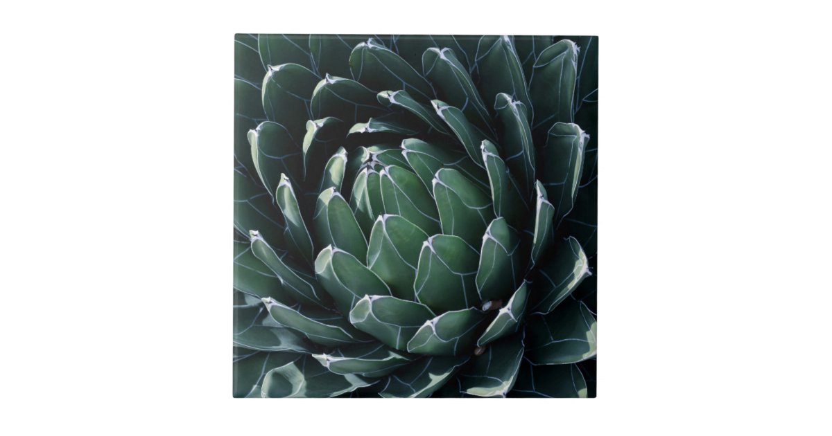 Green Agave Ceramic Tile | Zazzle