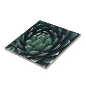 Green Agave Ceramic Tile | Zazzle