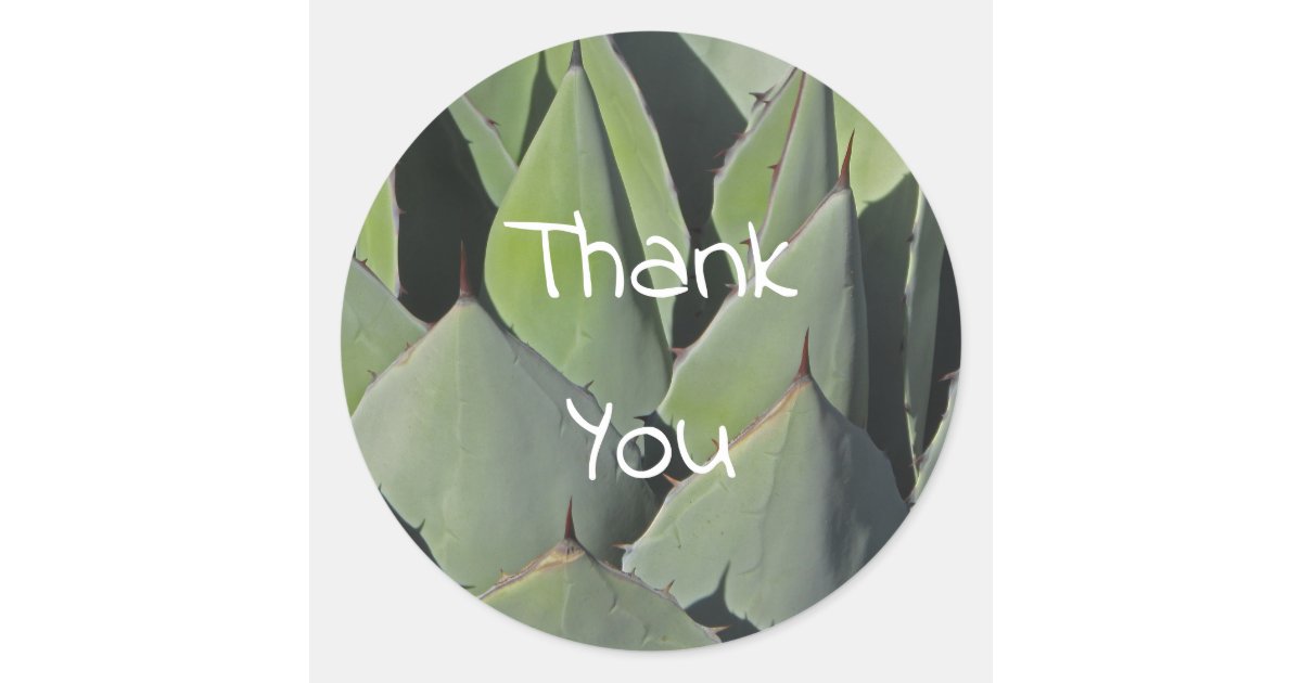 Green Agave Leaves Botanical Photo Southwest Classic Round Sticker | Zazzle