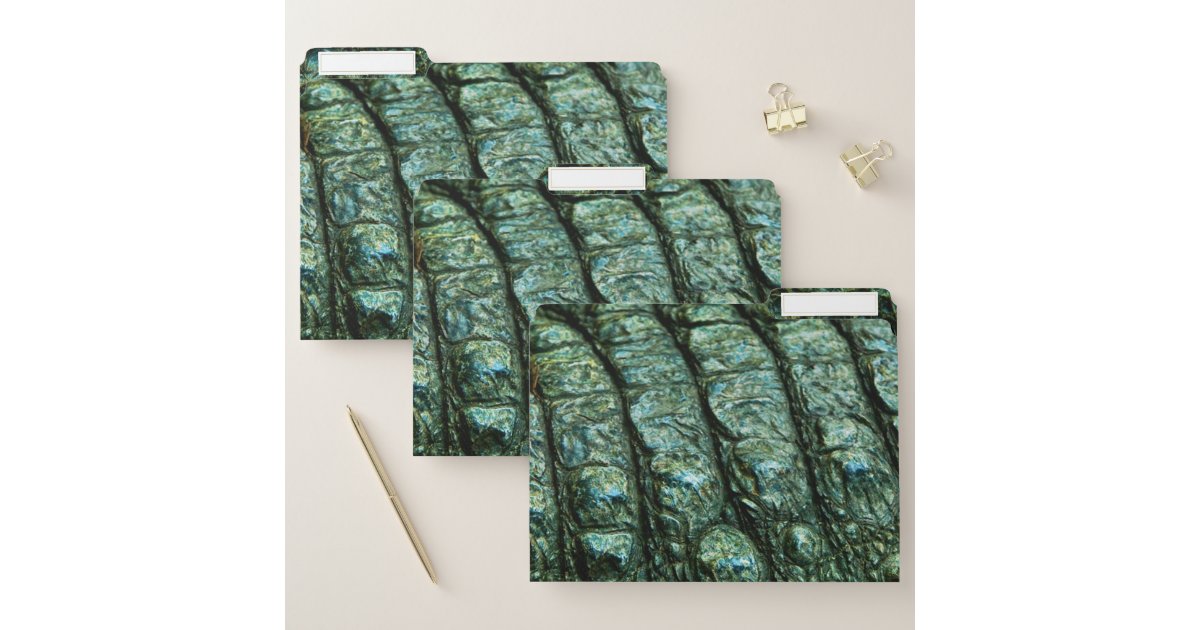 Green Alligator Skin Texture File Folder | Zazzle