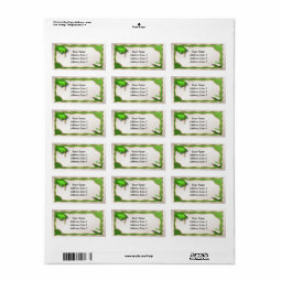 Green and Gold Grauation Address Labels | Zazzle
