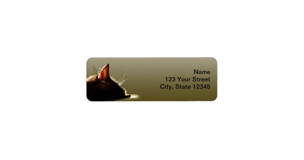 Green and Grey Cat Nap Label | Zazzle