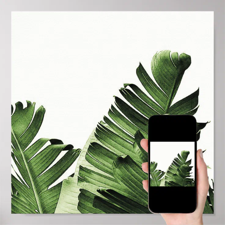 Green Banana Leaf Poster | Zazzle