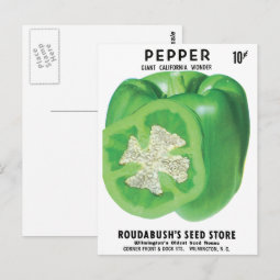 Green Bell Pepper Seed Packet Postcard | Zazzle