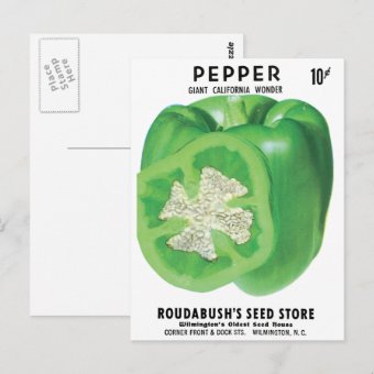 Green Bell Pepper Seed Packet Postcard | Zazzle