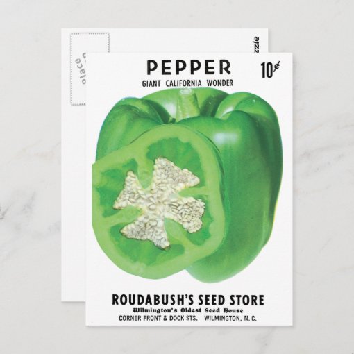 Green Bell Pepper Seed Packet Postcard | Zazzle