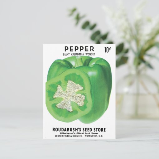 Green Bell Pepper Seed Packet Postcard | Zazzle