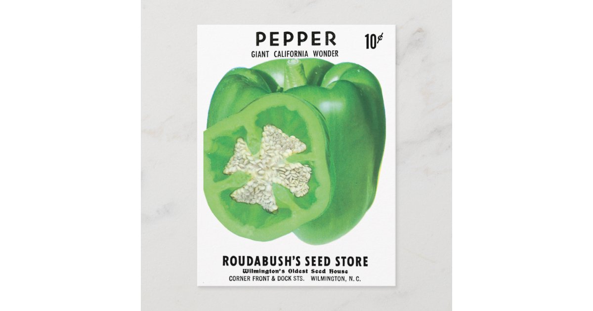 Green Bell Pepper Seed Packet Postcard | Zazzle