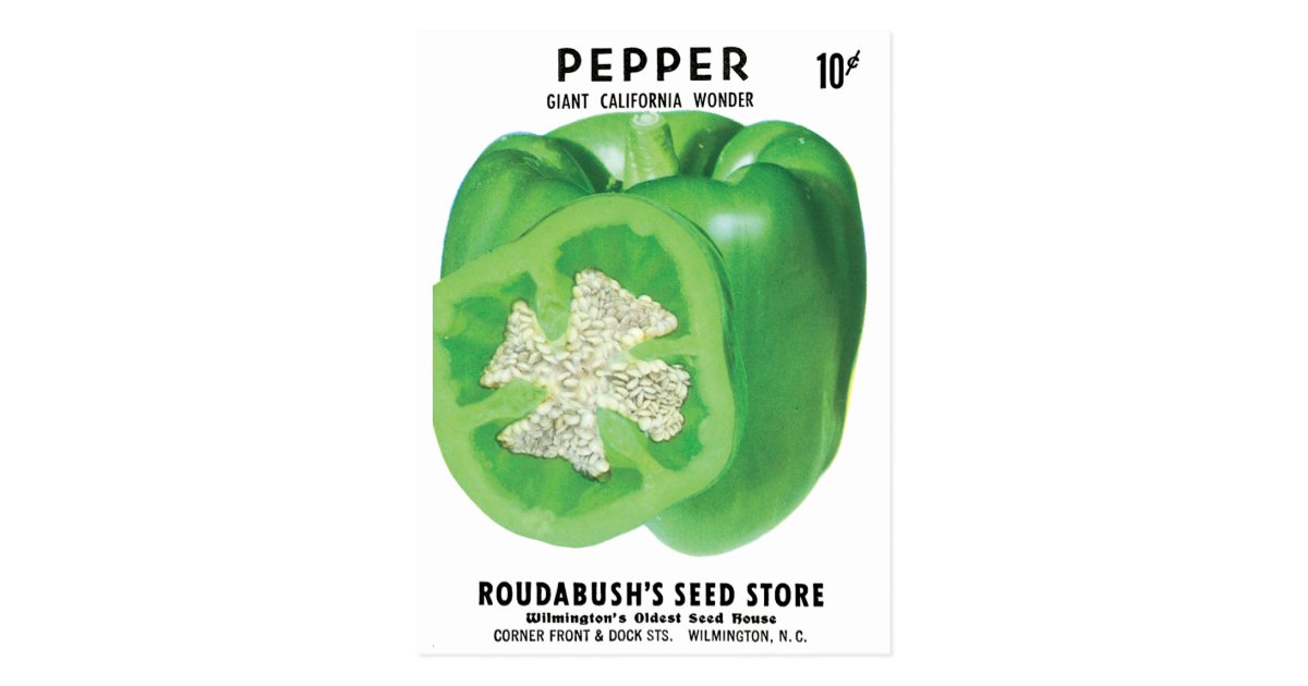 Green Bell Pepper Seed Packet Postcard | Zazzle.com