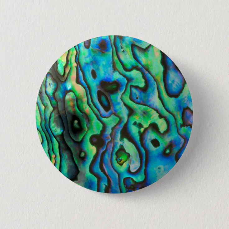 Green blue paua abalone shell button | Zazzle
