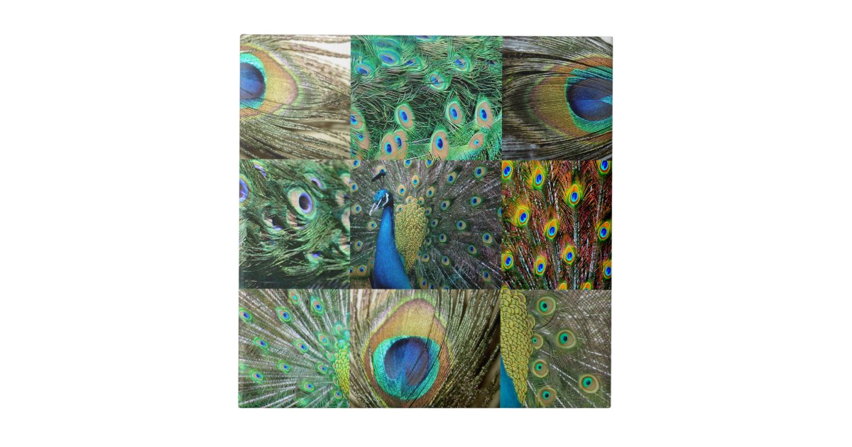 Green Blue Peacock photo collage Tile | Zazzle