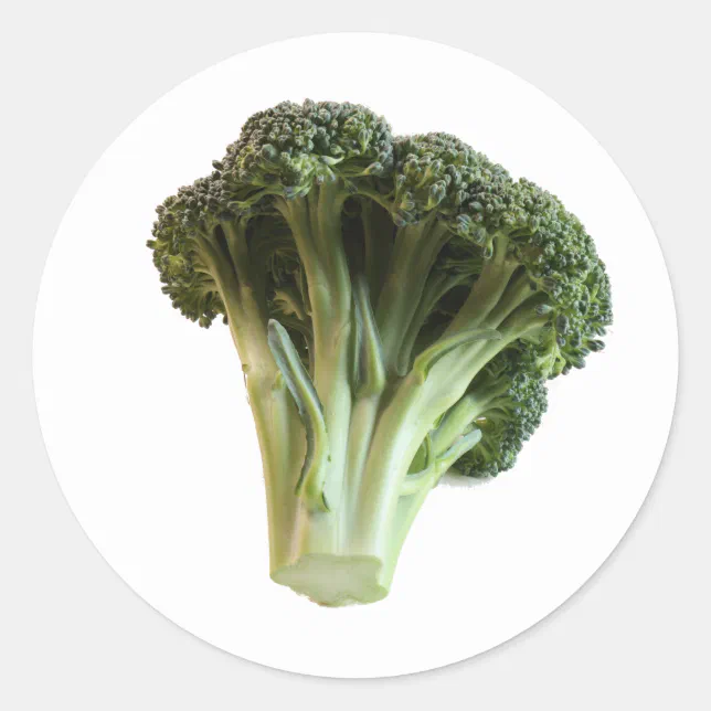 Green Broccoli Floweret Fresh Vegetable Classic Round Sticker | Zazzle