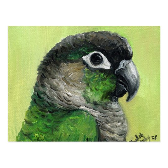 "Green Cheeked Conure" Bird Art Postcard | Zazzle.com