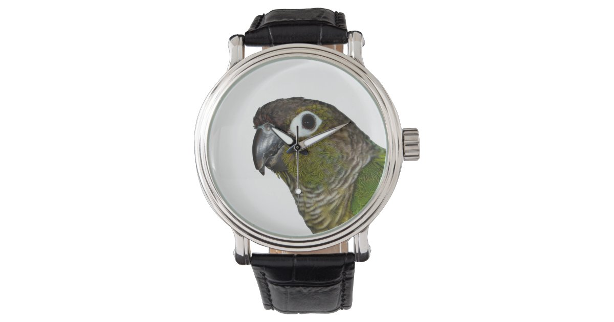 Green Cheeked Conure Watch | Zazzle