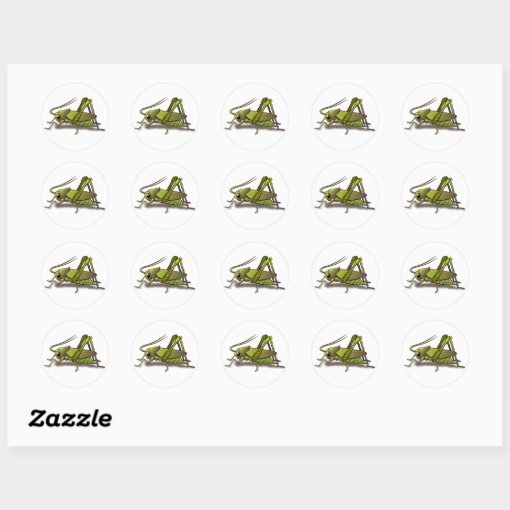 Green Cricket Insect Classic Round Sticker | Zazzle