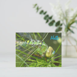 Green Dragonfly HELLO Postcard | Zazzle
